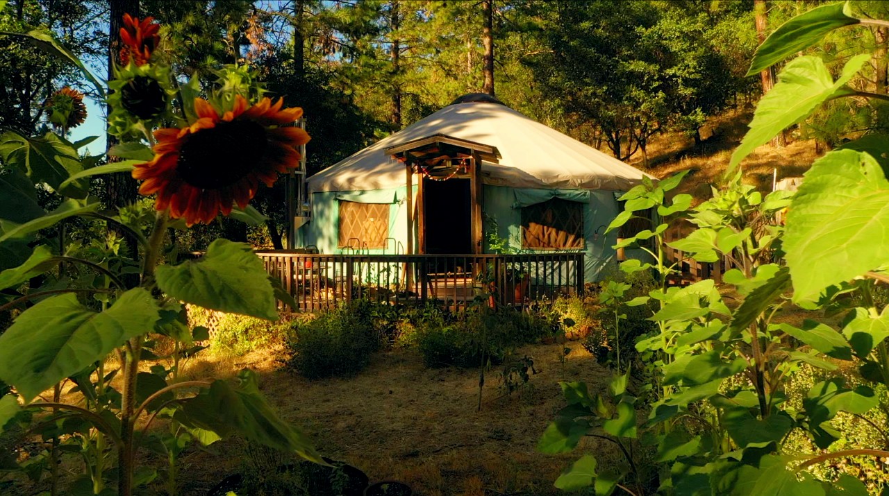 Tiny House Expedition - Her Yurt Homestead Paradise - 4 Yurts!