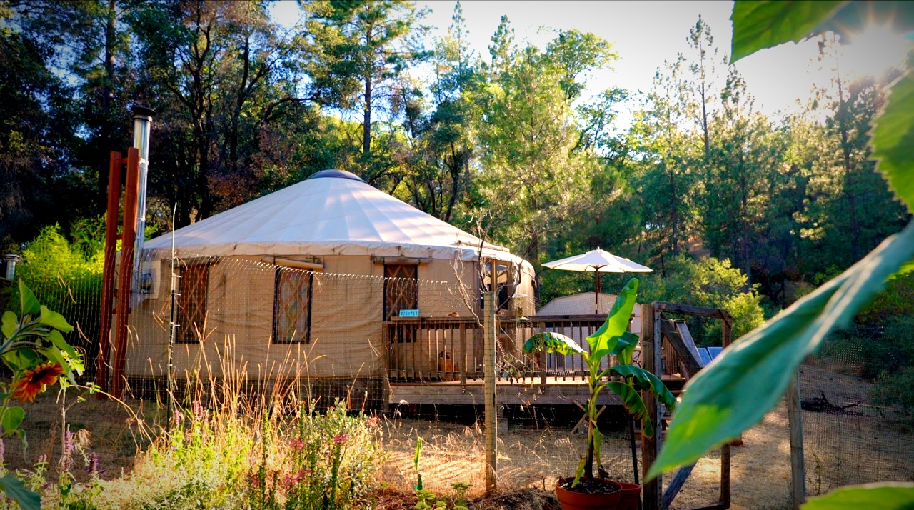 Tiny House Expedition - Her Yurt Homestead Paradise - 4 Yurts!